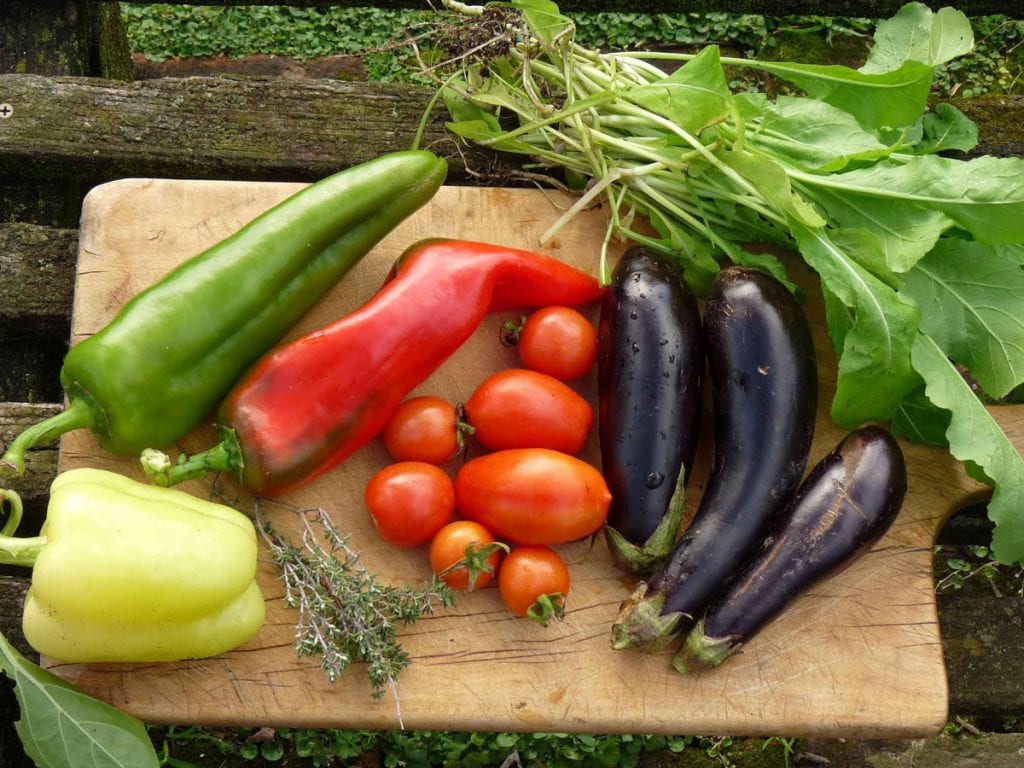 huerta – Chile Huerta