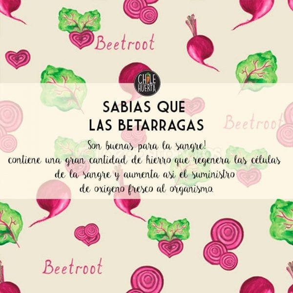 Sabias que la betarraga... - Chile Huerta