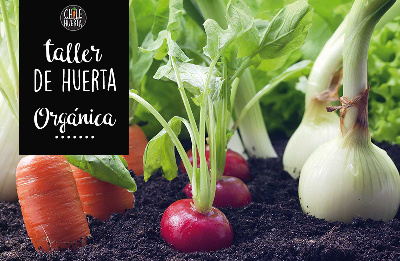 taller-de-huerta-organica - Chile Huerta