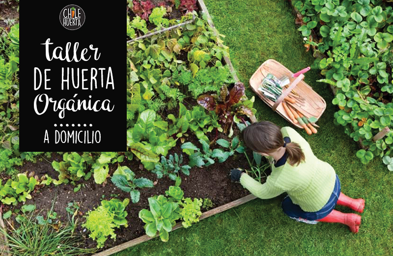tallerdehuertaadomicilio – Chile Huerta
