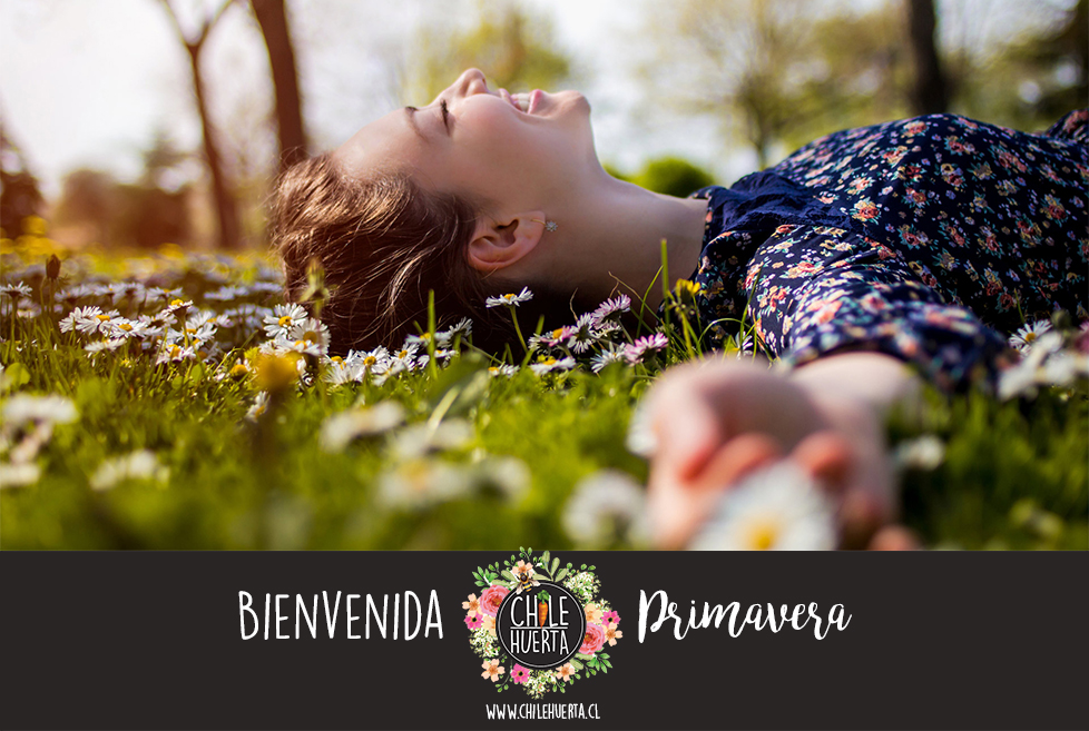 bienvenidafanpage - Chile Huerta