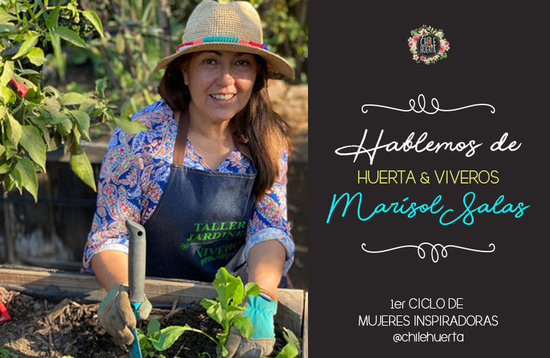 Marisol slider - Chile Huerta