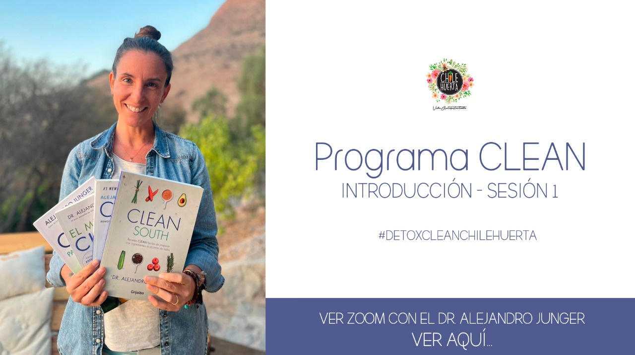 Programa Clean - Introducción - Chile Huerta