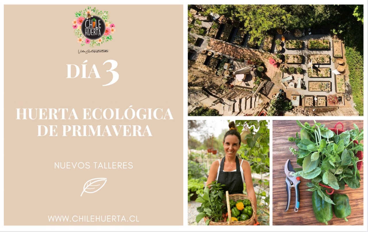 Huerta Ecologica de Primavera - Chile Huerta