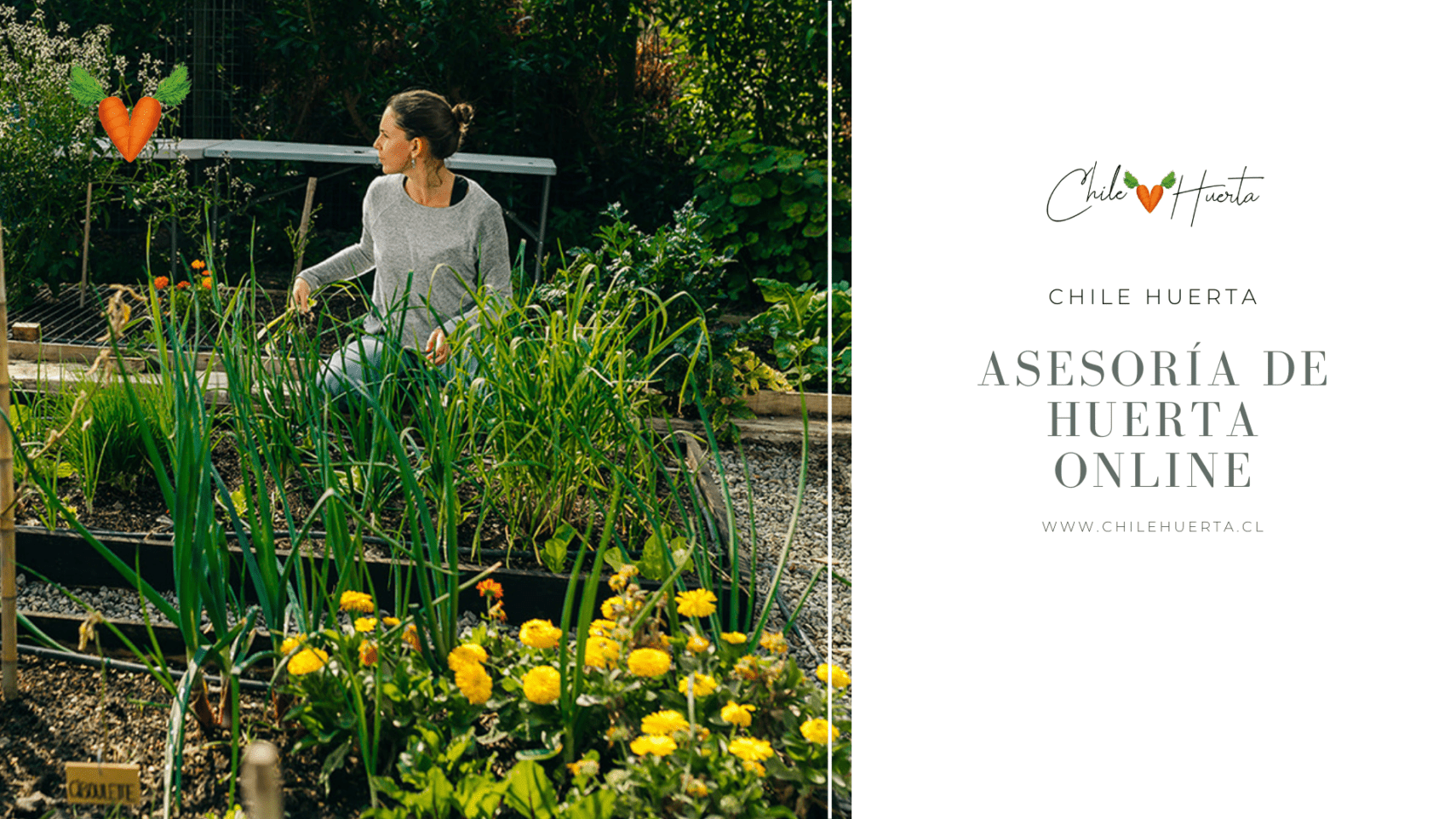 Asesoría de Huerta Online - Chile Huerta