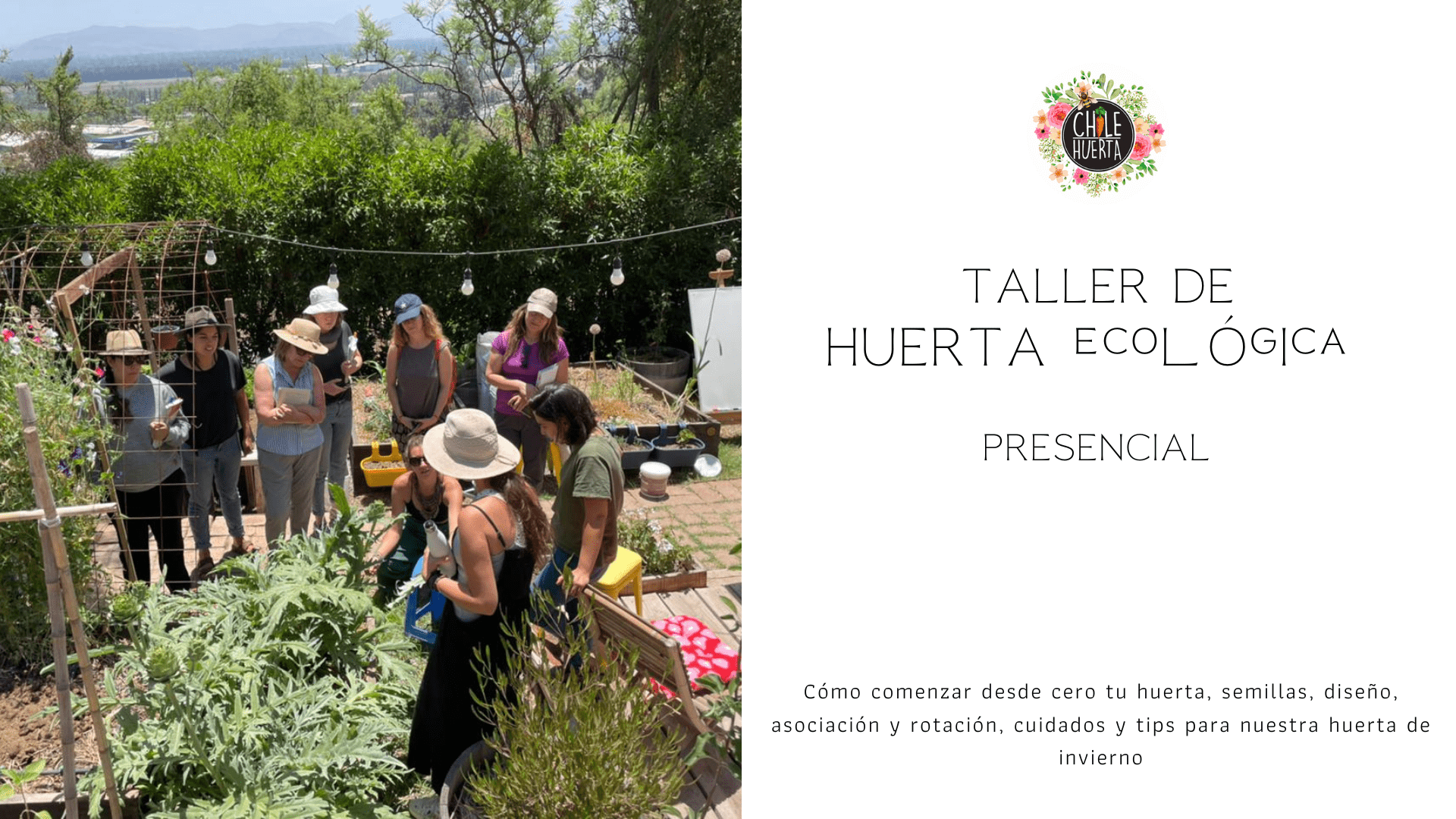 Taller de Huerta Ecologica Presencial - Chile Huerta