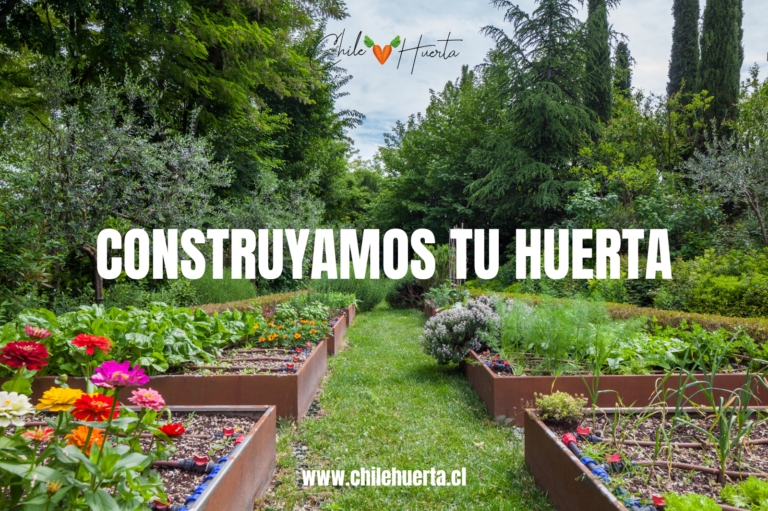 Diseñamos y Construimos tu Huerta... ¿Quieres una Visita? - Chile Huerta
