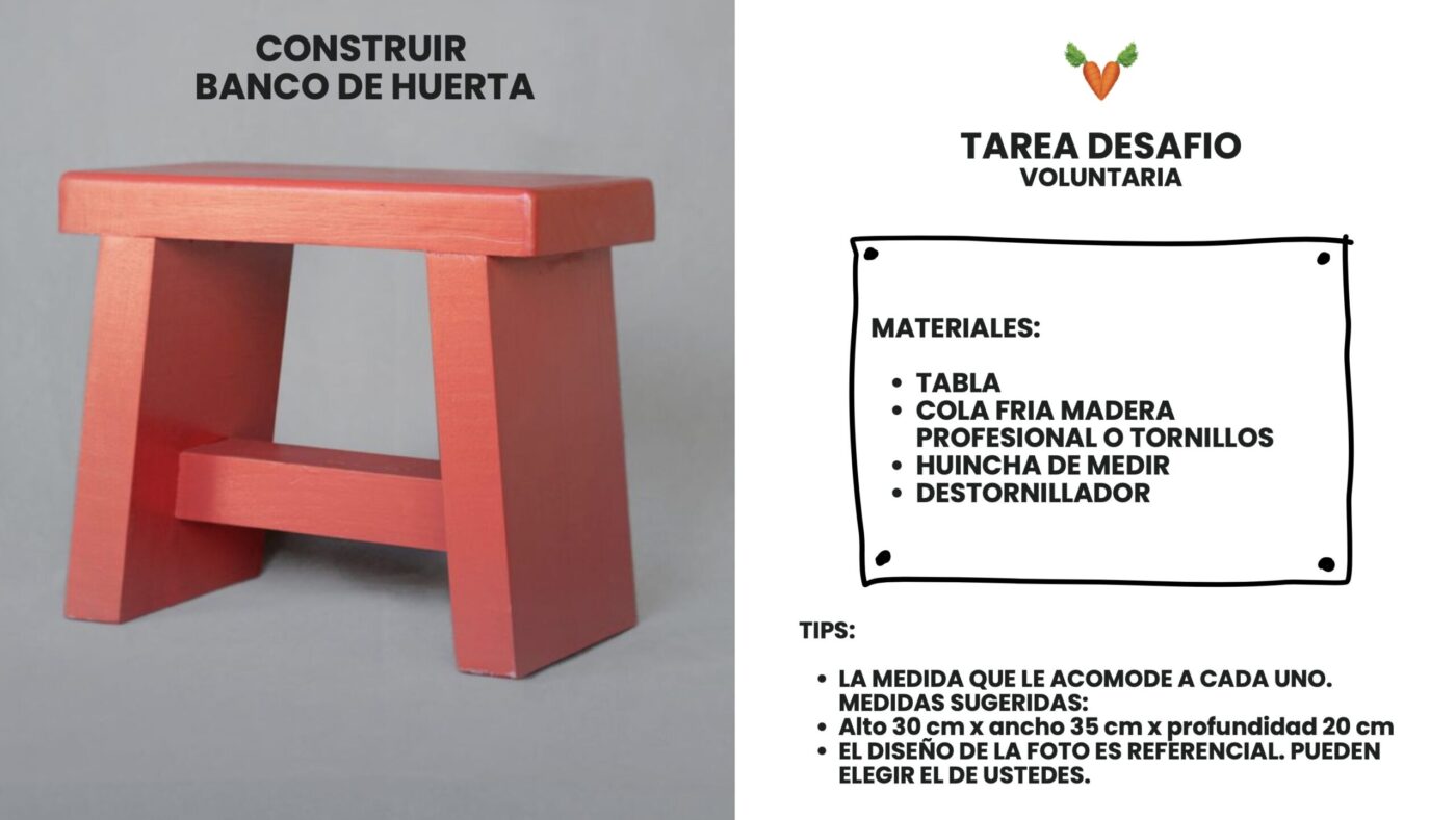 Clase 4 - Tarea - Chile Huerta